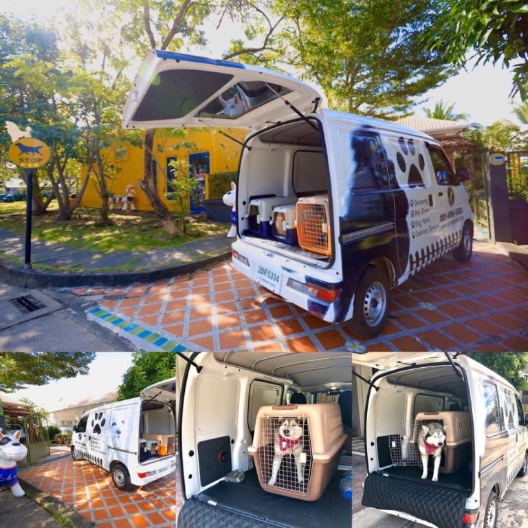 PET RELOCATION – Trans Logistics International